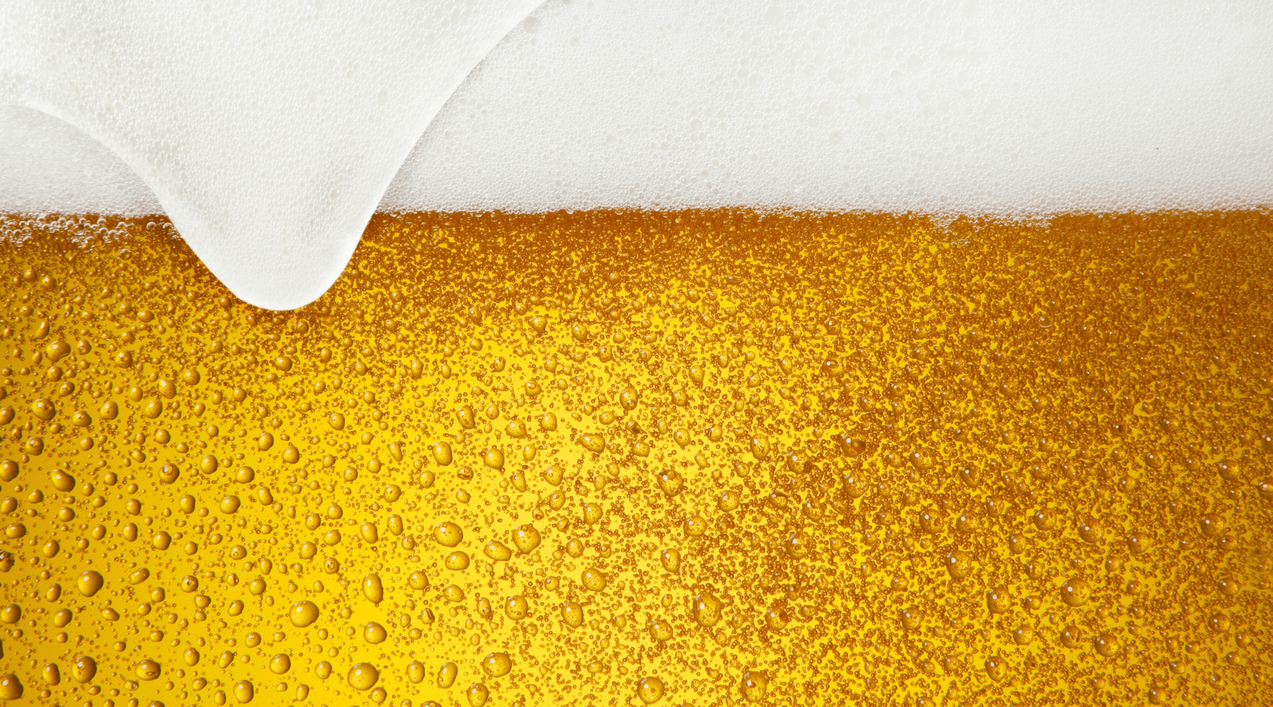 What Is Beer Foam? The Science Behind the Bubbles – iGulu