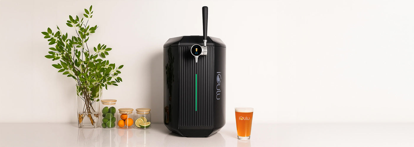 Automated All in One Home Beer Brewing Machine by iGulu