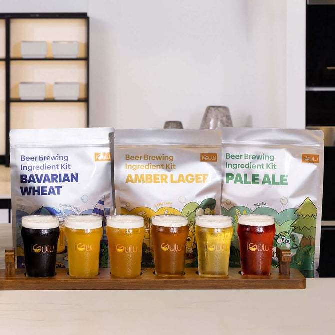 Automated Home Beer Brewing Machine with App by iGulu