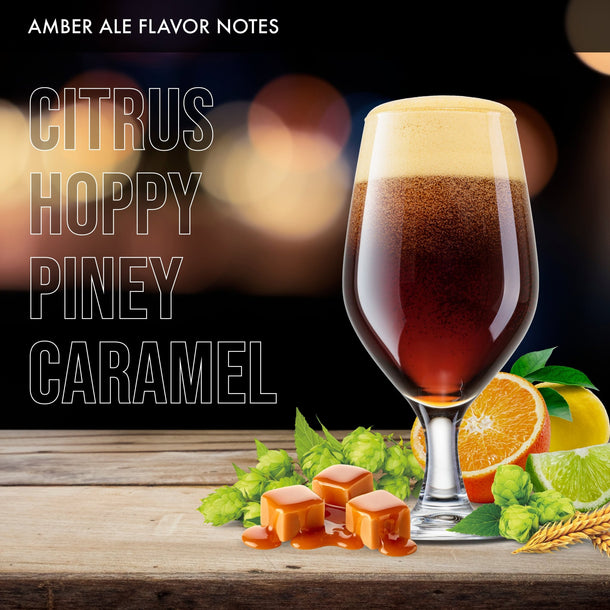 iGulu Traditional Amber Ale Beer Brewing Ingredient Kit